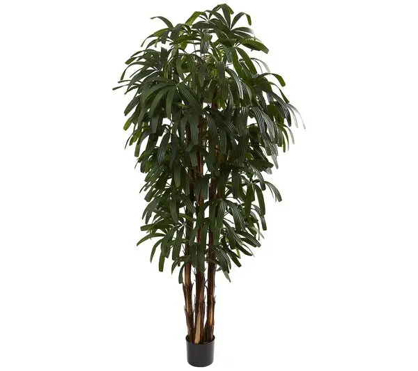 NEARLY NATURAL 6' Raphis Palm Tree By - One-color