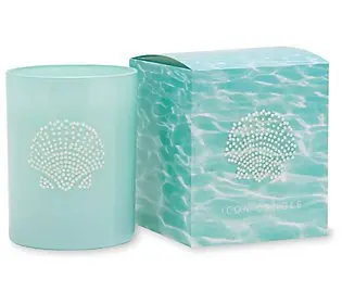PRIMAL ELEMENTS Seashell Icon Candle