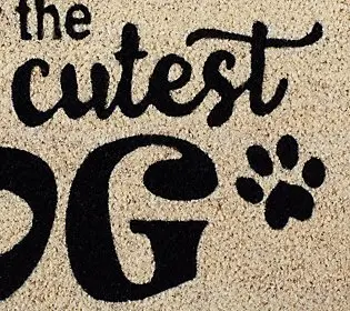 DESIGN IMPORTS World's Cutest Dog Doormat