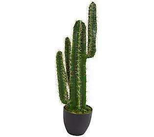 NEARLY NATURAL 2.5' Cactus Artificial Plant By - One-color
