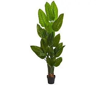 NEARLY NATURAL 6' Artificial Canna Tree By - One-color