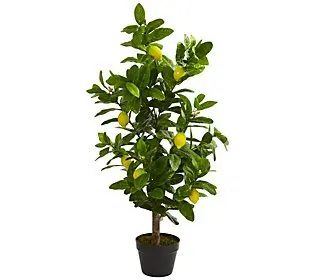 NEARLY NATURAL 3' Artificial Lemon Tree By - One-color