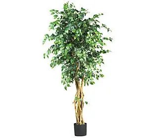 NEARLY NATURAL 6' Multi-trunk Ficus Tree By - One-color