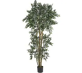 NEARLY NATURAL 6' Green Ash Silk Tree By - One-color