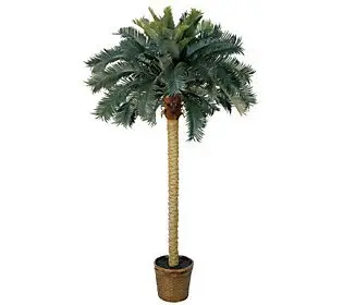 NEARLY NATURAL 6' Sago Palm Tree By - One-color