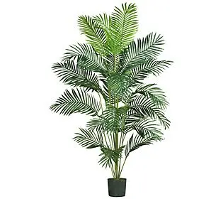 NEARLY NATURAL 7' Paradise Palm Silk Tree By - One-color
