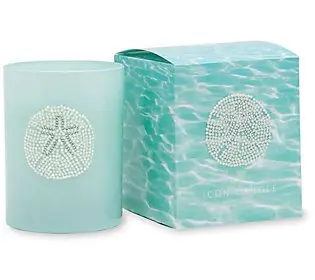 PRIMAL ELEMENTS Sand Dollar Icon Candle - One-color