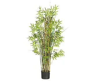 NEARLY NATURAL 5' Grass Plant Bamboo By - One-color