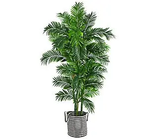 NEARLY NATURAL 6' Curvy Parlor Palm Tree In Planter Nearly Atural - One-color