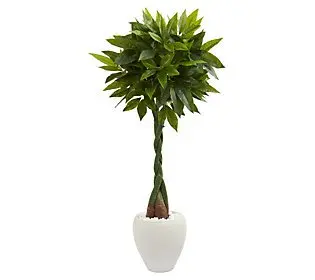 NEARLY NATURAL 5' Money Artificial Tree In Oval Planter - One-color