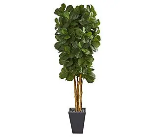 NEARLY NATURAL Fiddle Leaf Artificial Tree In S Late Planter