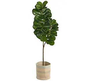 NEARLY NATURAL 5.5' Fiddle Leaf Fig Multicolore D Woven Planter - One-color