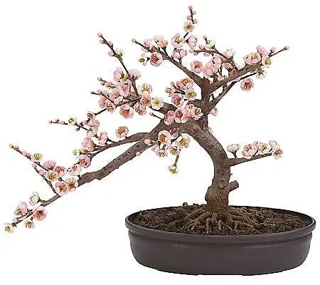 NEARLY NATURAL Cherry Blossom Bonsai Tree By - One-color
