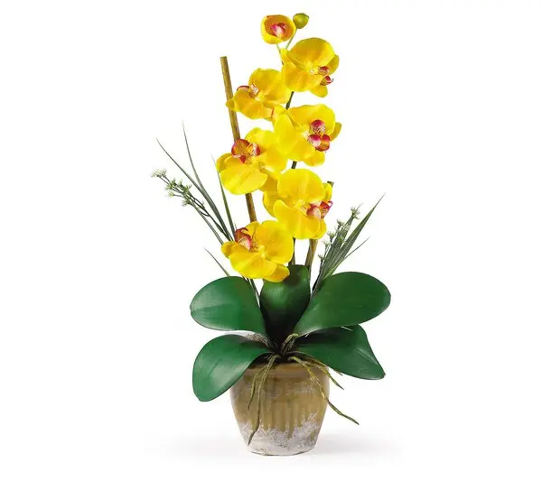 NEARLY NATURAL Single Stem Phalaenopsis Silk Ar Rangement - One-color