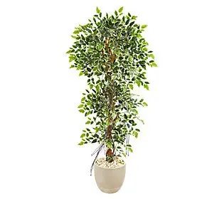 NEARLY NATURAL 63in. Elegant Ficus Artificial Tree In Sandsto Ne Planter - One-color