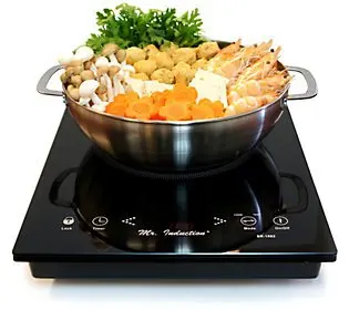 SPT 1650w Induction Built-in/ Countertop