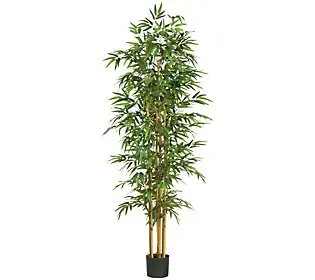 NEARLY NATURAL 75' Bamboo Tree By - One-color