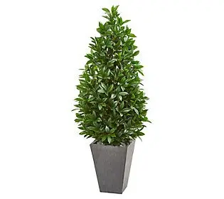NEARLY NATURAL 57in. Bay Leaf Cone Topiary In Planter - One-color