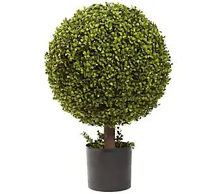 NEARLY NATURAL 27' Boxwood Ball Topiary By - One-color