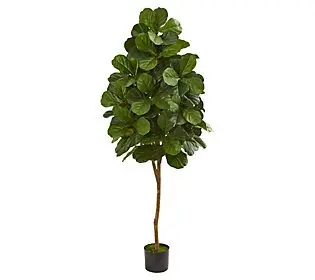 NEARLY NATURAL 6' Fiddle Leaf Fig Artificial Tree Nearly Na Tural - One-color