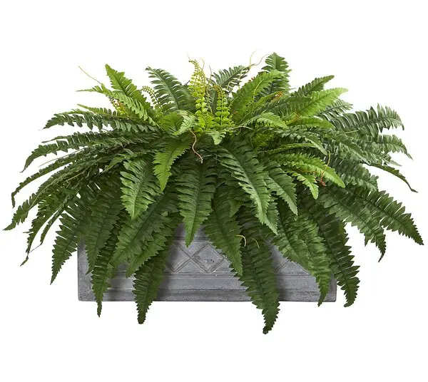 NEARLY NATURAL 30' Boston Fern Plant In Stone Planter Nearl Y Natural - One-color
