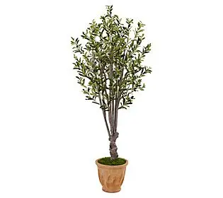 NEARLY NATURAL 5' Olive Tree In Terra-cotta Planter Nearly Atural - One-color