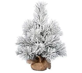 VICKERMAN 24' Frosted Beckett Pine Tree - One-color