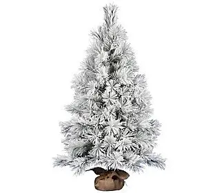VICKERMAN 48' Frosted Beckett Pine Tree - One-color