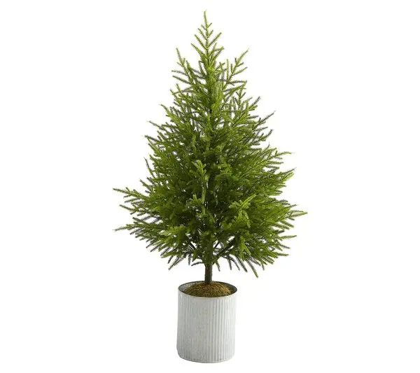NEARLY NATURAL 49' Norfolk Island Pine Natural Ook Tree - One-color