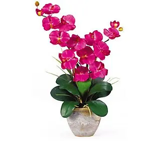 NEARLY NATURAL 25' Double Stem Phalaenopsis By