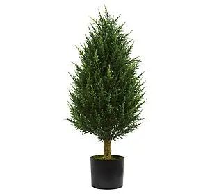 NEARLY NATURAL 3' Cypress Tower Artificial Tree Nearly Natu Ral - One-color