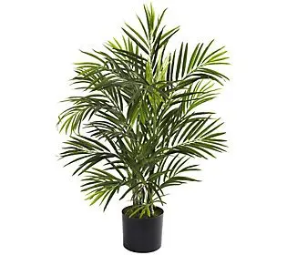 NEARLY NATURAL 2'6' Areca Palm By