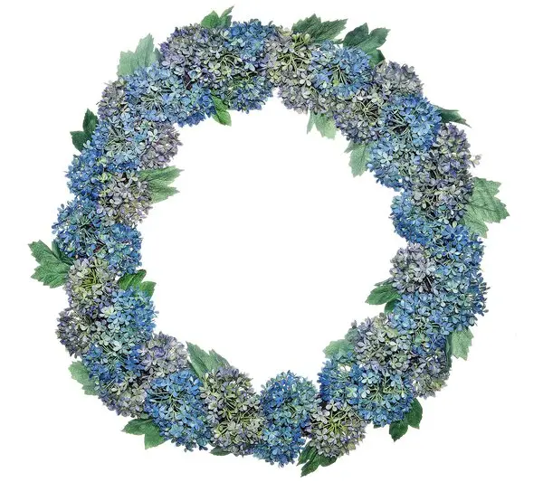 VALERIE PARR HILL Snowball Hydrangea Wreath 24' Valerie - One-color