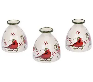 TEMP-TATIONS Set Of 3 Bud Vases - One-color