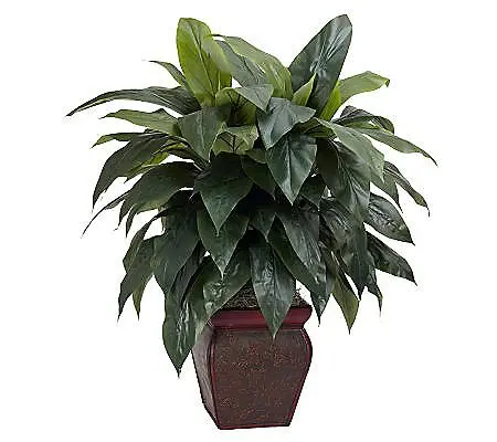 NEARLY NATURAL Cordyline With Decorative Vase Plant Nearlyn Atural - One-color