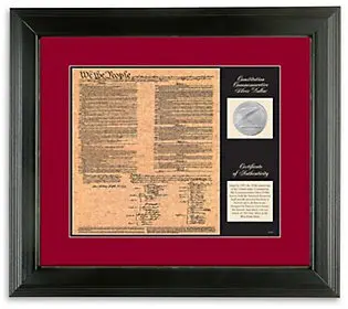 AMERICAN COIN TREASURES Birth Of A Nation Constitution Coin Frame - One-color