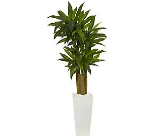 NEARLY NATURAL 5' Cornstalk Dracaena Plant In Planter Nearl Y Natural - One-color