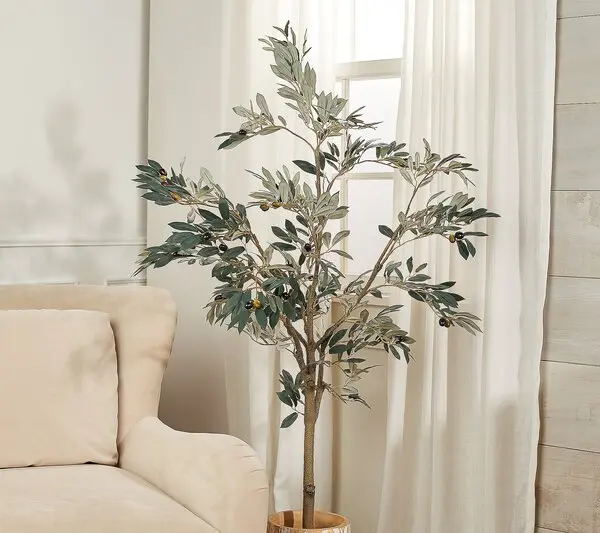 VALERIE PARR HILL 5' Faux Olive Leaf Tree In Starter Pot Valerie - One-color