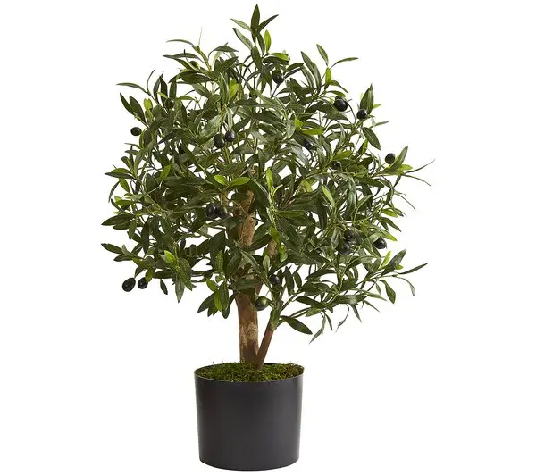NEARLY NATURAL 29' Olive Artificial Tree By - One-color