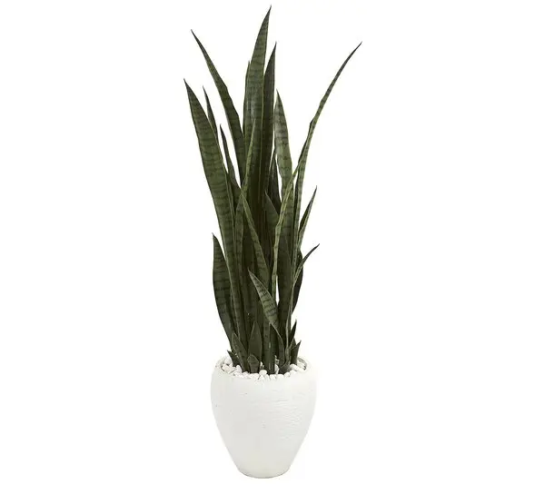 NEARLY NATURAL 51' Sansevieria Plant In White Planter Nearl Y Natural - One-color