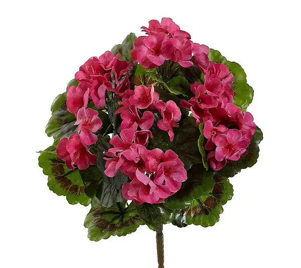 NEARLY NATURAL Geranium Artificial Bush Set Of 4 Nearly Nat Ural - One-color