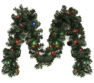 BRITE STAR Battery-operated 9' Canadian Branch Garland, Multi - One-color
