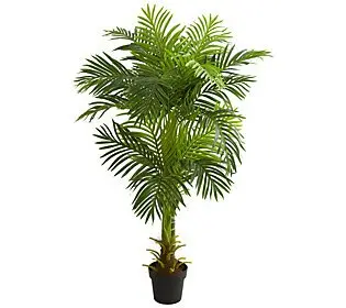 NEARLY NATURAL 5' Double Stalk Hawaii Palm Tree Nearly Natu Ral - One-color