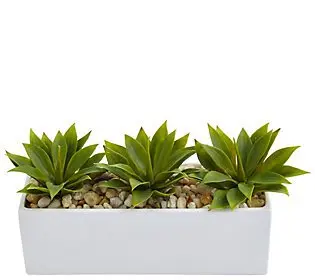NEARLY NATURAL Agave Succulent In Rectangular Planter Nearl Y Natural