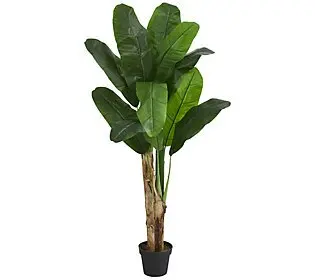 NEARLY NATURAL 5' Double Stalk Banana Artificial Tree Nearl Y Natural - One-color