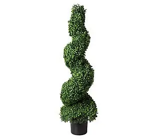 NATURE SPRING 50' Spiral Boxwood Topiary Tree