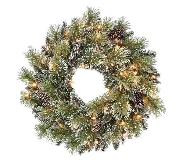 PULEO INTERNATIONAL Puleo 24' Pre-lit Premium Decorated Wreath, 50 Lights - One-color