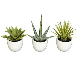 NEARLY NATURAL Set Of 3 Southwest Collection Agave Plants N Arly Natural - One-color