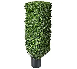 VALERIE PARR HILL American Boxwood Square Column Topiary Valer Ie - One-color