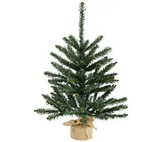 VICKERMAN 2' Anoka Pine Tree With Burlap Base Vickerma N - One-color